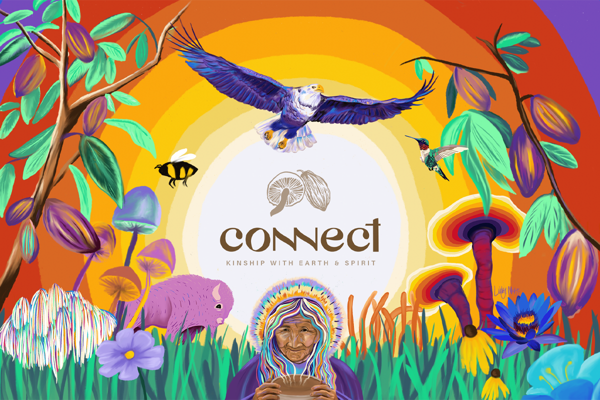 Shop – Connect Chocolate